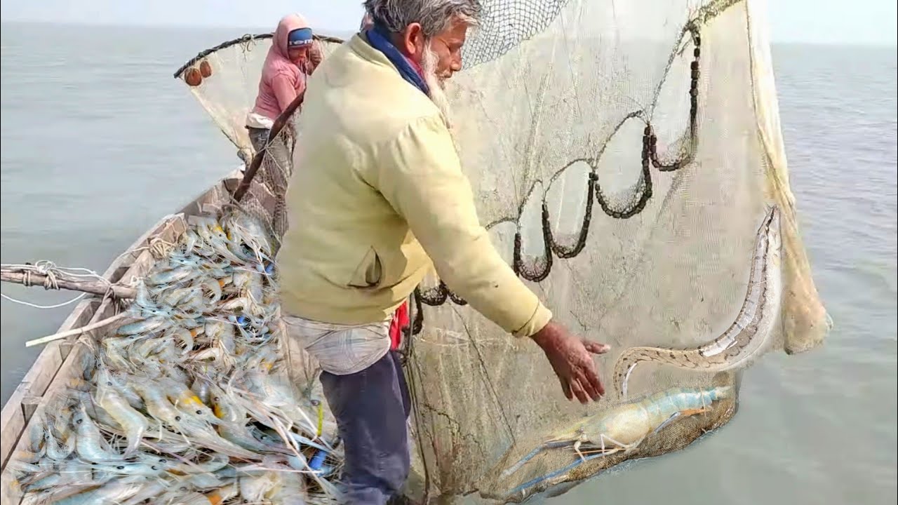 Most Satisfied Tana net Fishing Video।। Catch Big Eel fish & Big Prawns ...