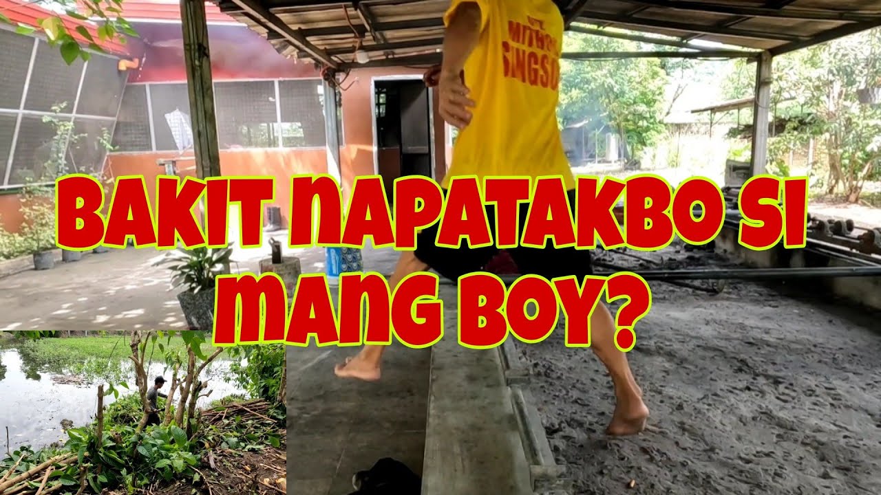 lechon day today, relax lang pero napatakbo... | Maaliwalas na ang ...
