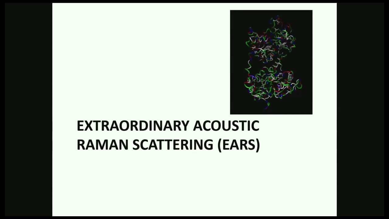 Reuven Gordon plenary: Nano-Bio-Optomechanics - YouTube