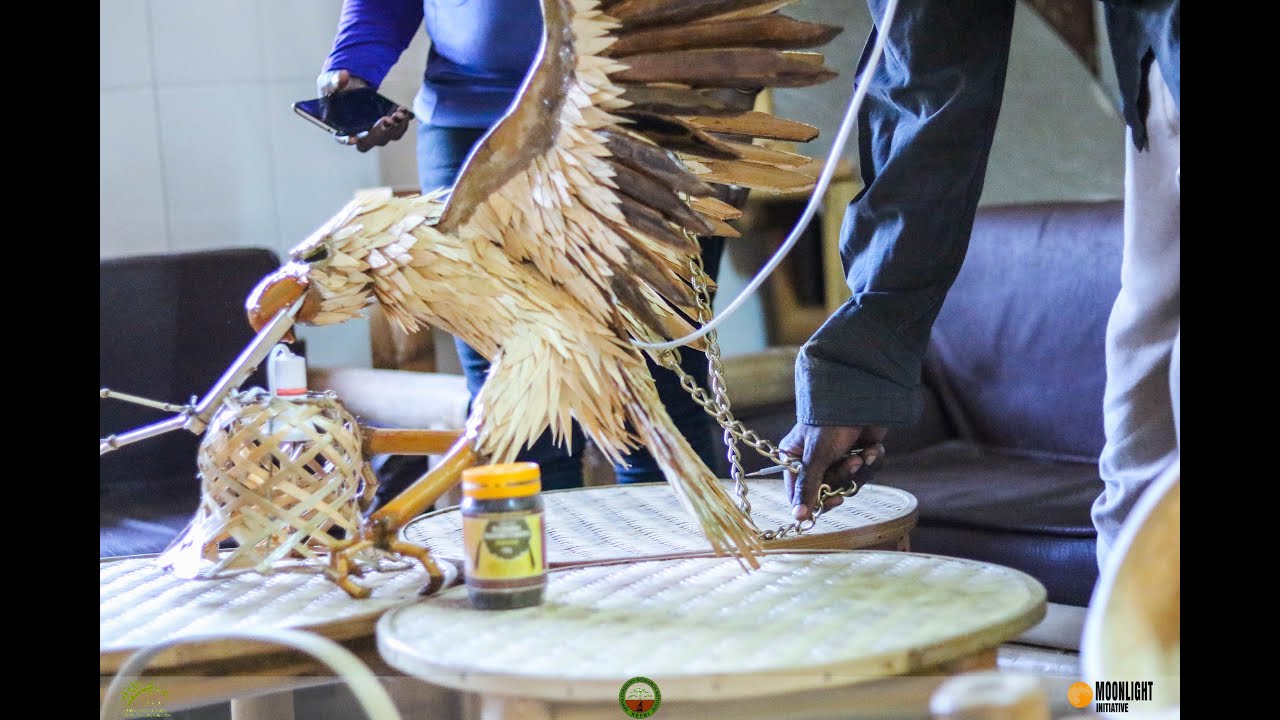 Bamboo Innovation in KENYA - YouTube