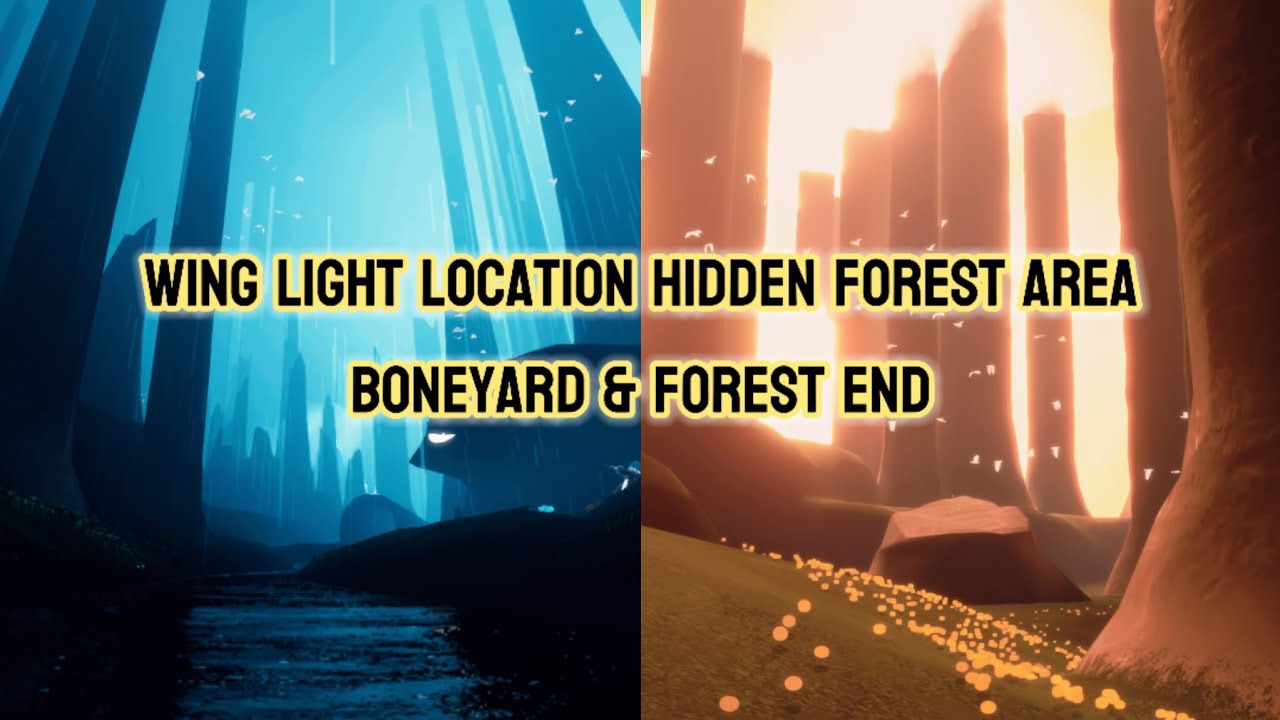 Wing Light Location Hidden Forest Area ‎Boneyard & Forest End - YouTube