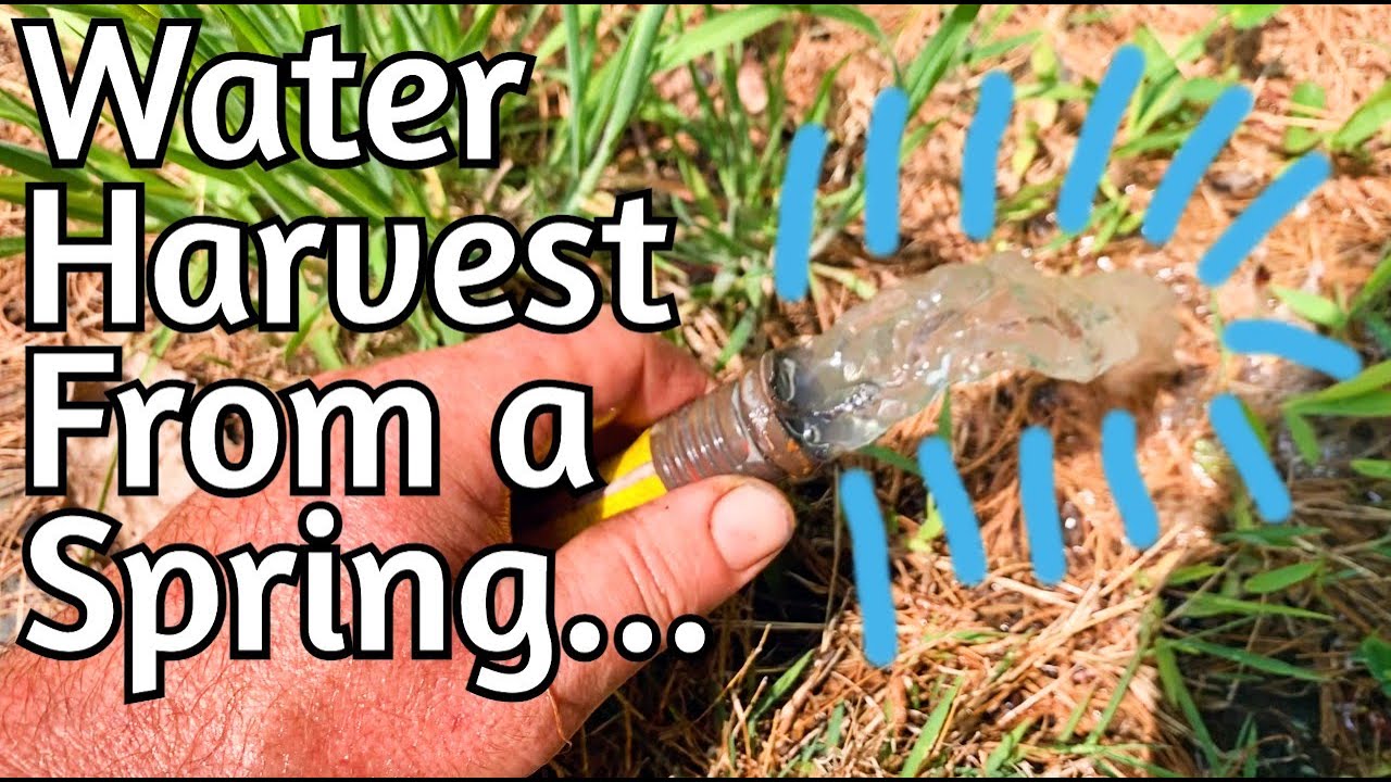 Water Harvest - Experiments in capturing spring water - YouTube
