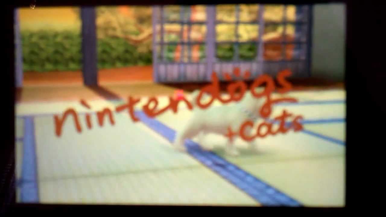 Nintendogs + Cats Review/Walkthrough Pt 1 (Outdated Video) - YouTube