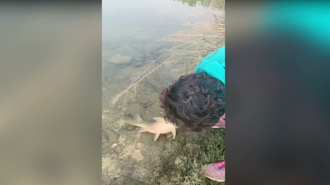 viral fish fishing Amazing fish video - YouTube