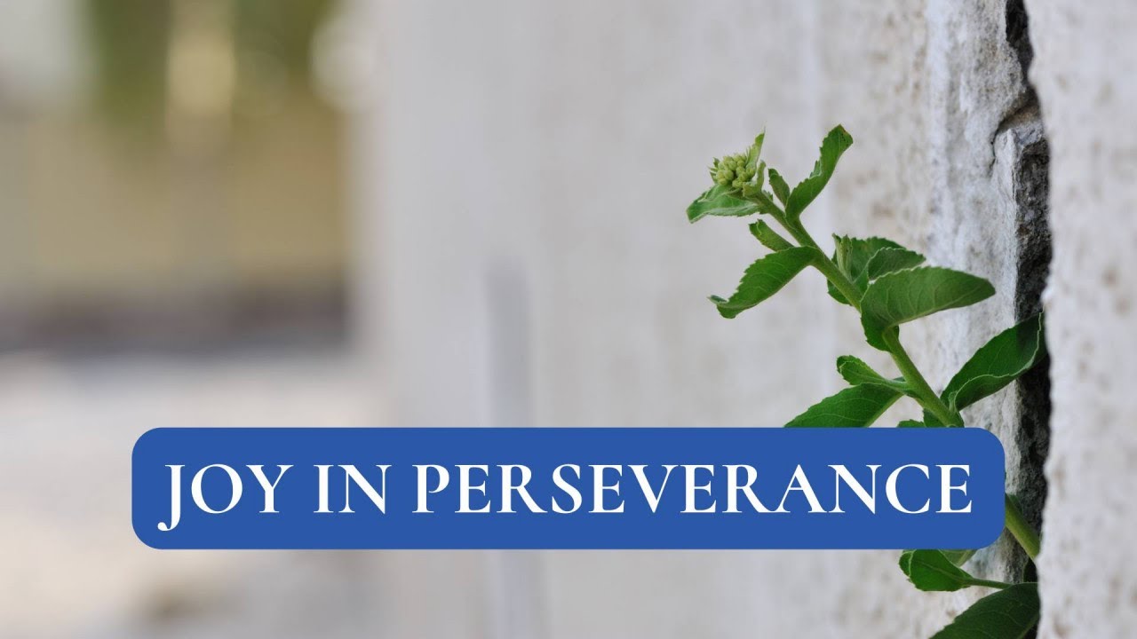 Joy in Perseverance - YouTube