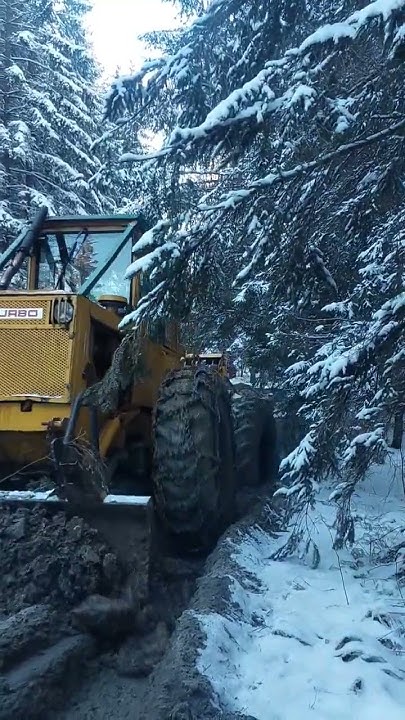 Lkt Zetor Stihl Forest Lkt 81 Turbo Youtube
