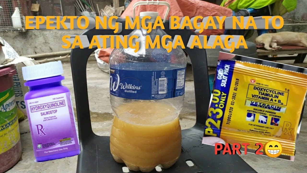 EPEKTO NG PROBIOTICS, SALMOSTOP AT VETRACIN GOLD SA ATING MGA IBON BASE ...