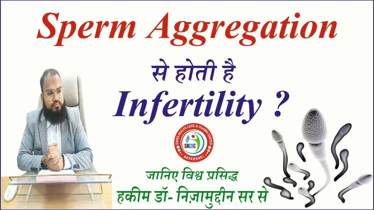 Does Sperm Aggregation Causes The Male Infertility? By Infertility ...