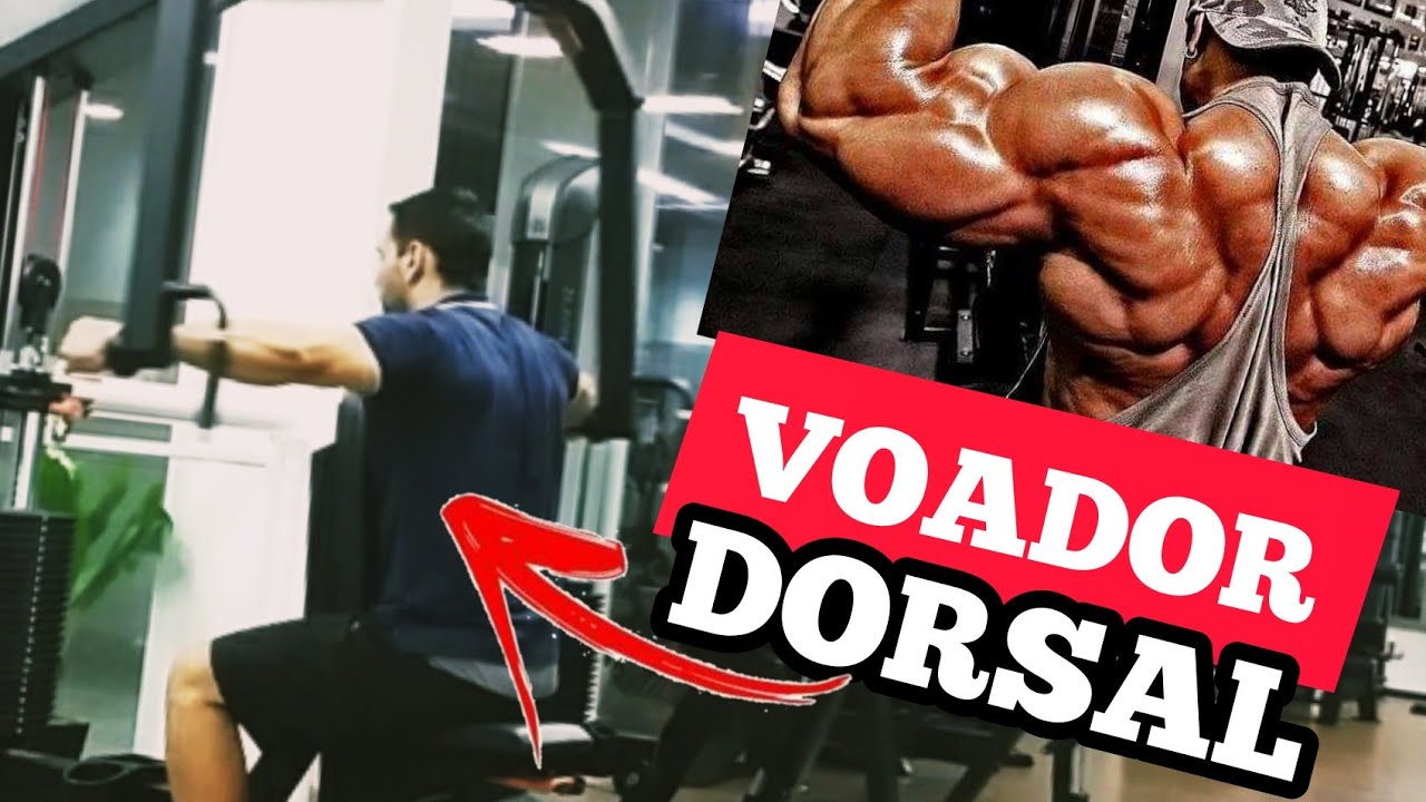 Crucifixo Inverso - Voador Dorsal- exercício para costas e ombros|Fabio ...