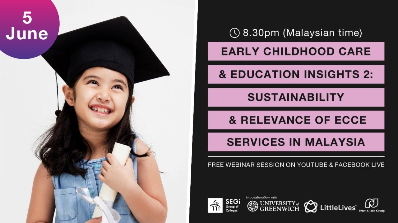ECCE Insights 2: Sustainability & Relevance of ECCE Services in ...