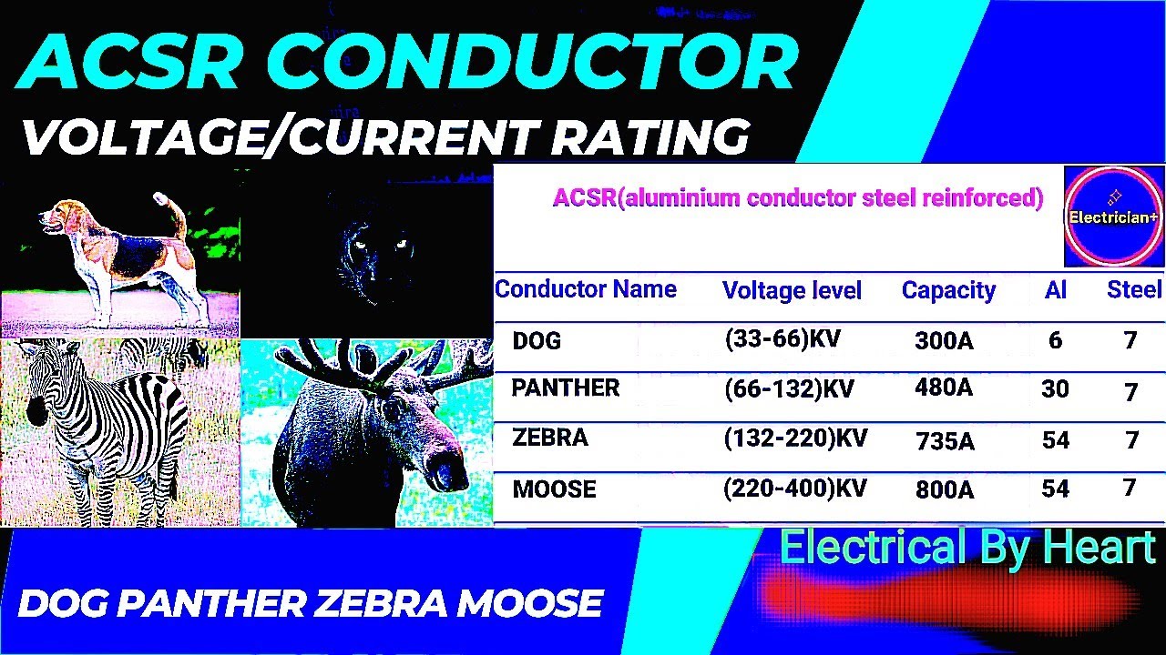 ACSR CONDUCTOR | current carrying capacity of cable | type of acsr ...
