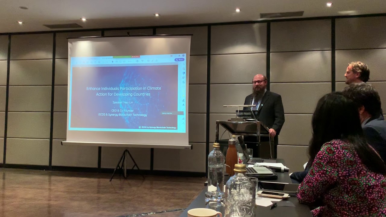 Tom Baumann at Yale Data-Driven Envirolab's event during the COP25 - YouTube