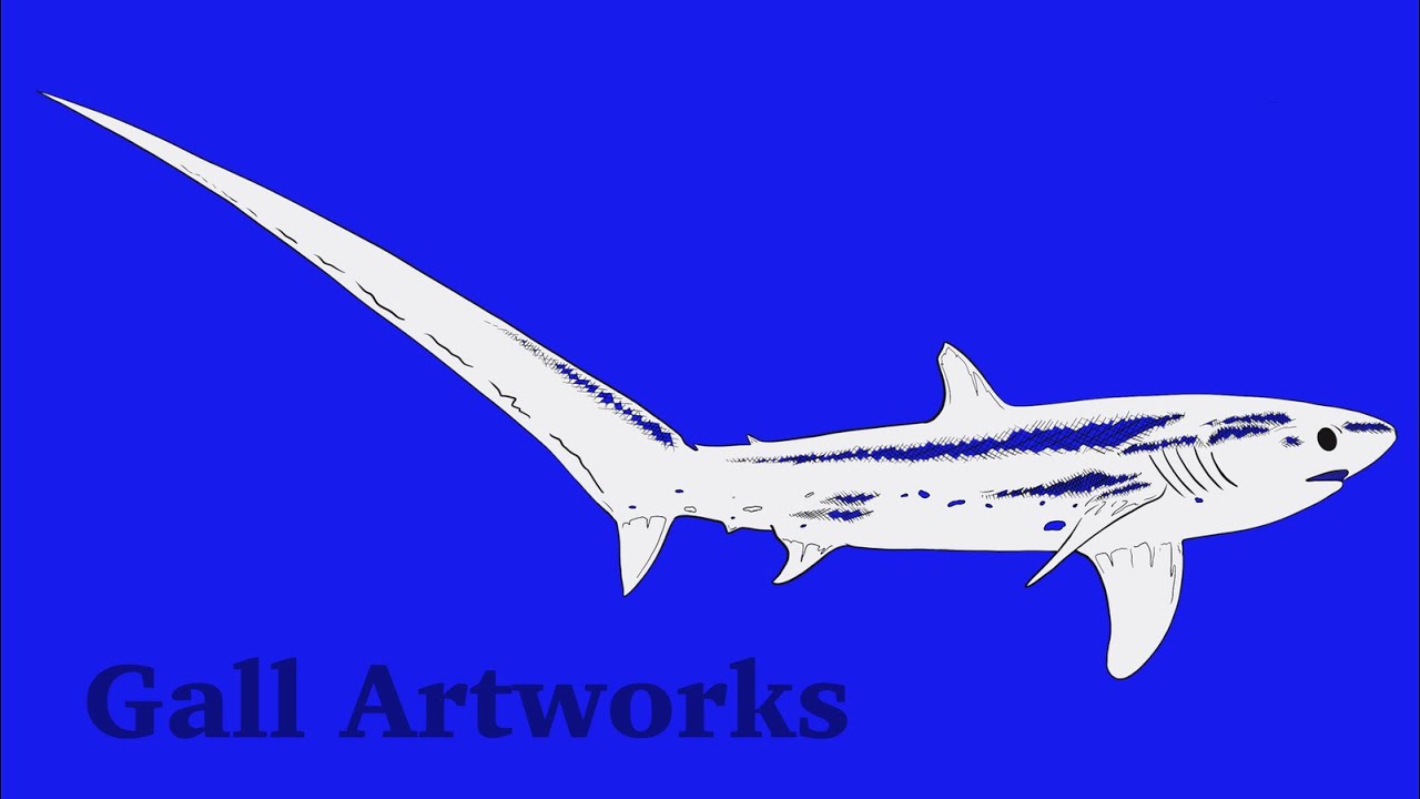 Gall Artworks Thresher Shark Sculpture - YouTube