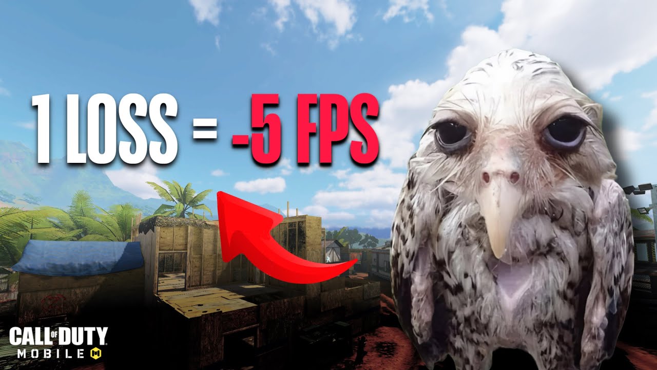 Every LOSS = -5 FPS in CODM ( $1 = -10 FPS ) - YouTube