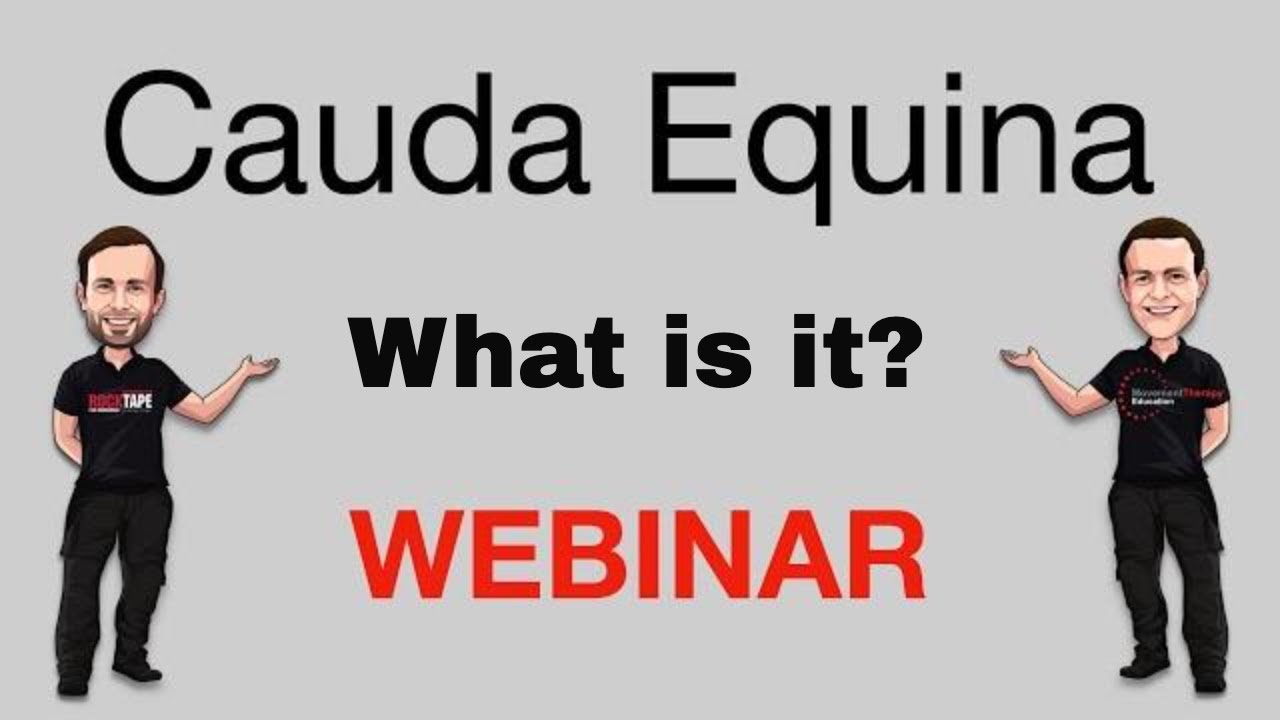 Cauda Equina Syndrome (CES) Explained. What is Cauda Equina syndrome ...