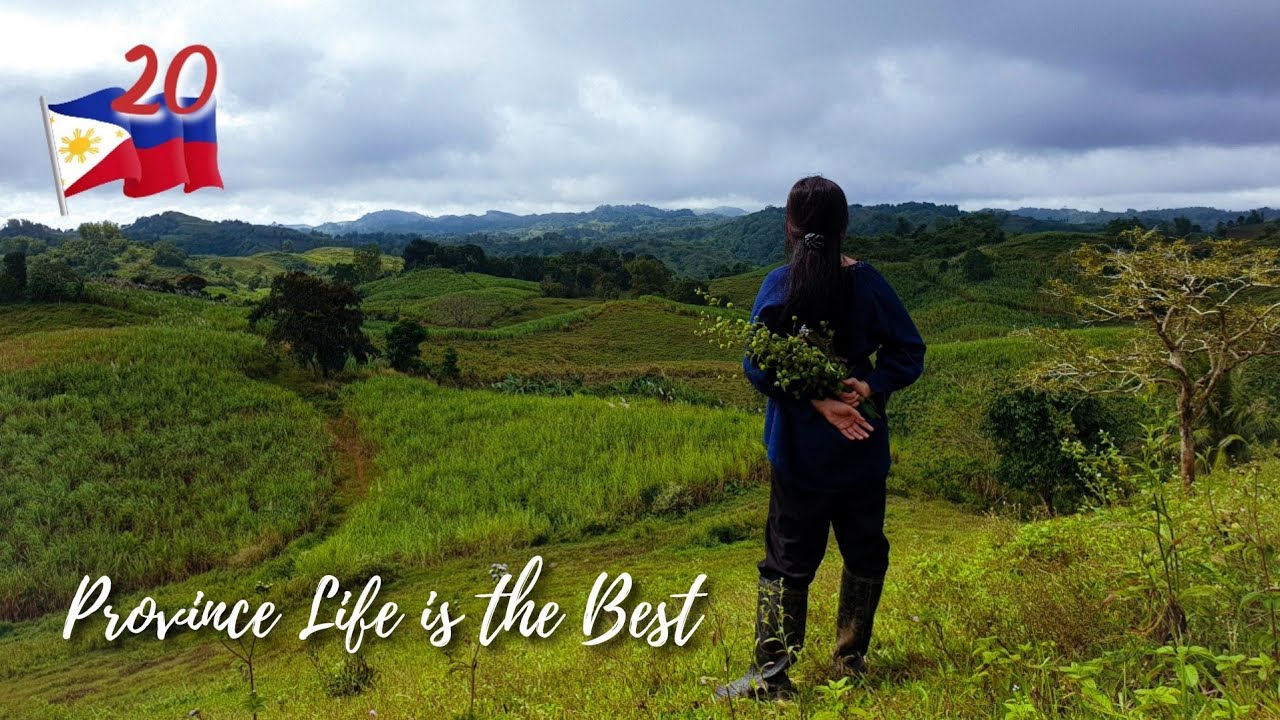 Simple Life in the Province | Province Life is the Best | Fried Rice ...