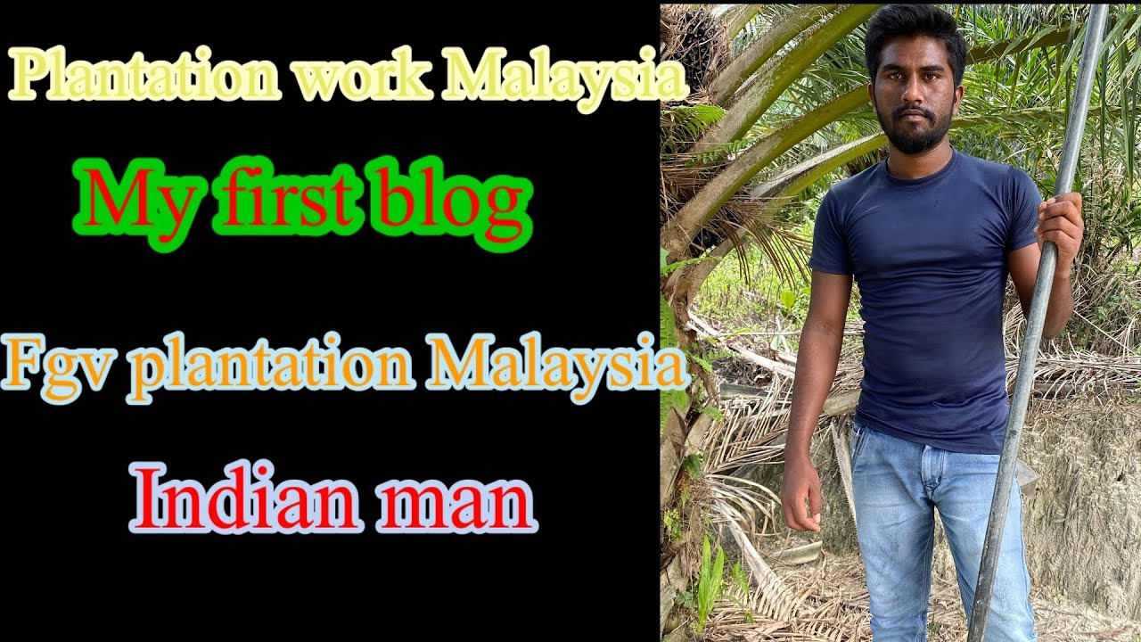 Fgv plantation work vlog || klk plantation job#malaysia - YouTube
