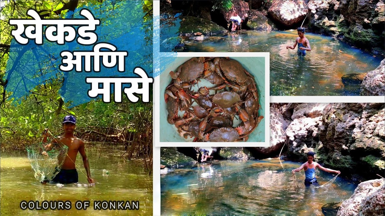 खेकडे आणि मासे पकडण्याची पारंपारिक पद्धत | Crabs & Fish Catching ...