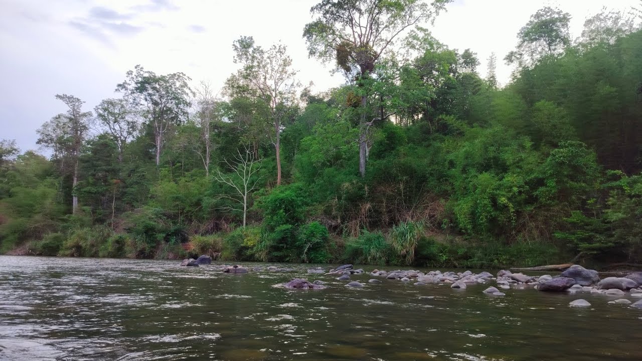 Bor Lang River in Somlout, Battambang - YouTube