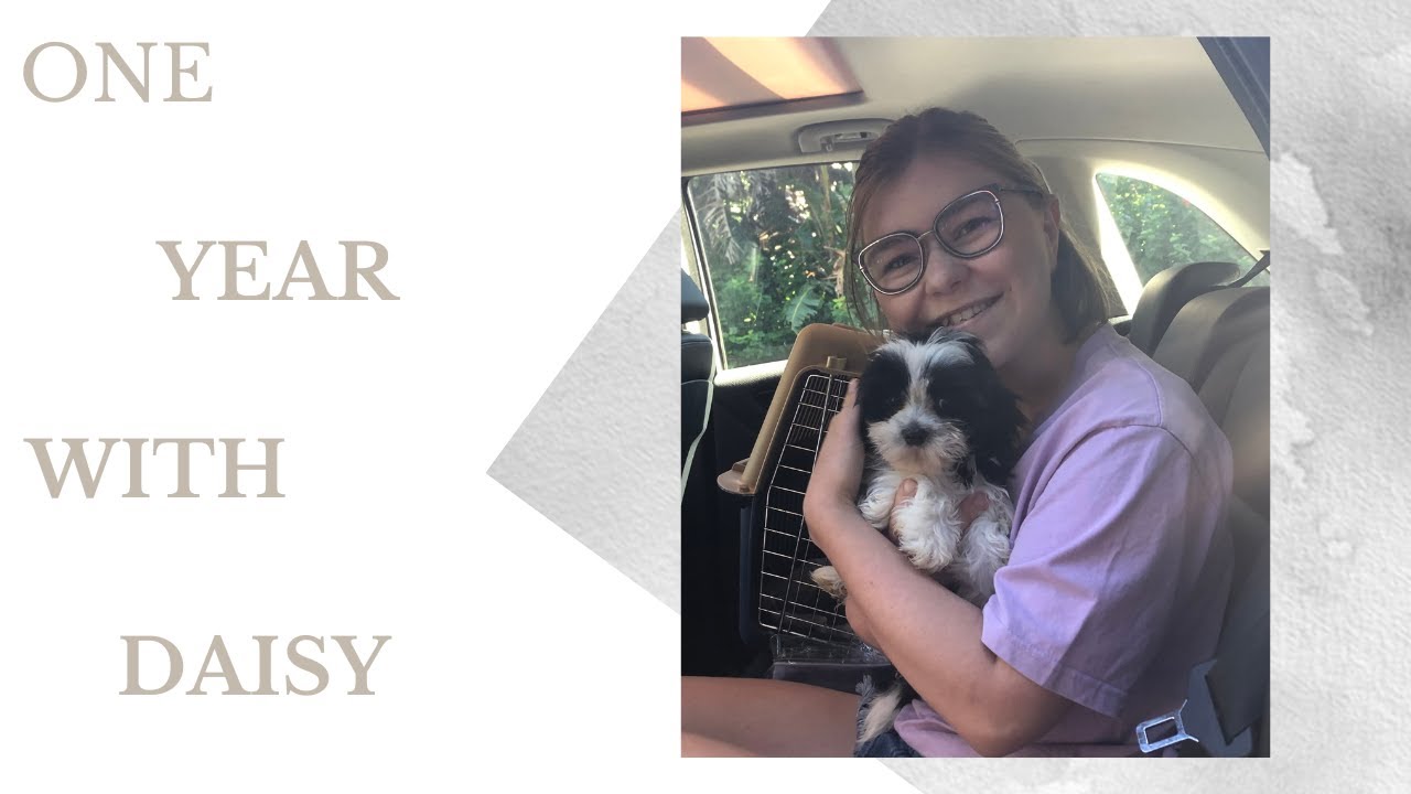 One year with Daisy | Jane Mckenzie - YouTube