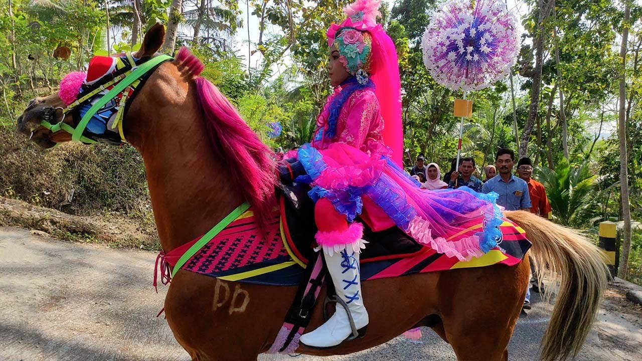 Kuda | Jumpa Kuda Rambut Pink Lagi - YouTube