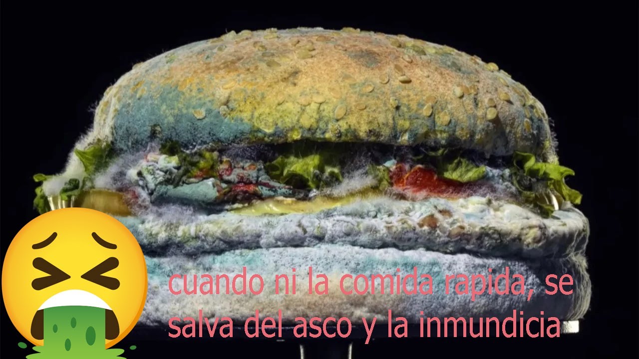 TOP 10, cosas asquerosas encontradas en la comida rapida, aguantaos el ...