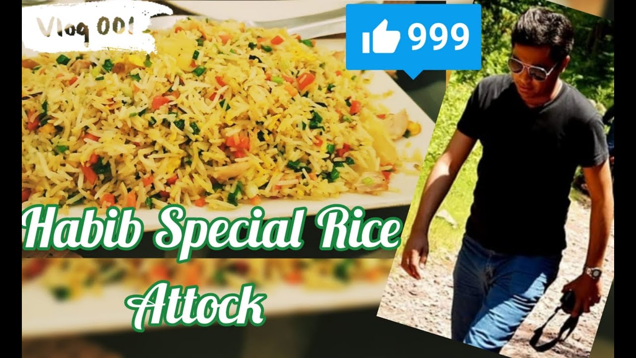 HABIB SPECIAL RICE ATTOCK | YUMMY RICE | COCKTAIL RICE | MAZEDAR CHAWAL ...
