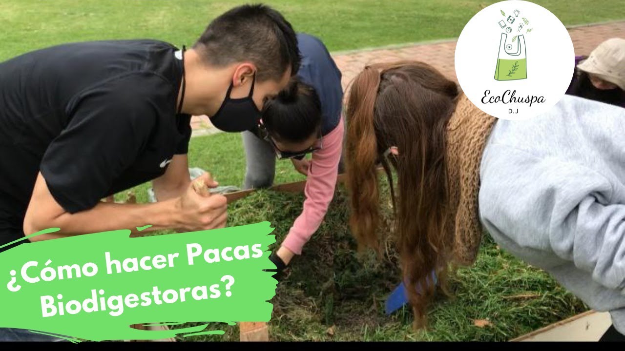 ¿Cómo hacer Pacas biodigestoras? Paso a paso - YouTube