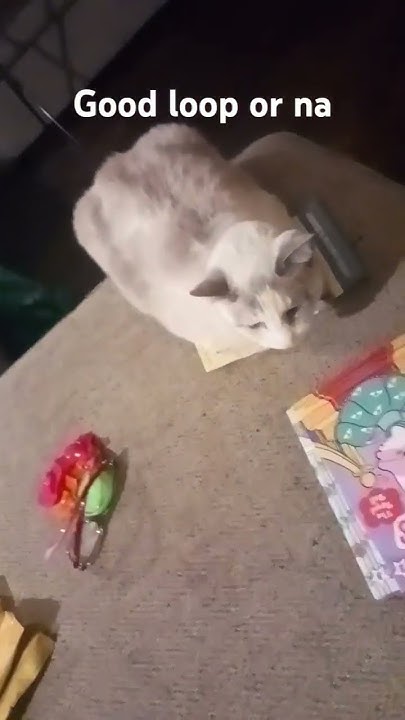 be honest is it a good Loop #perfectloop #satisfyingloop #comedy #funny #memes - YouTube