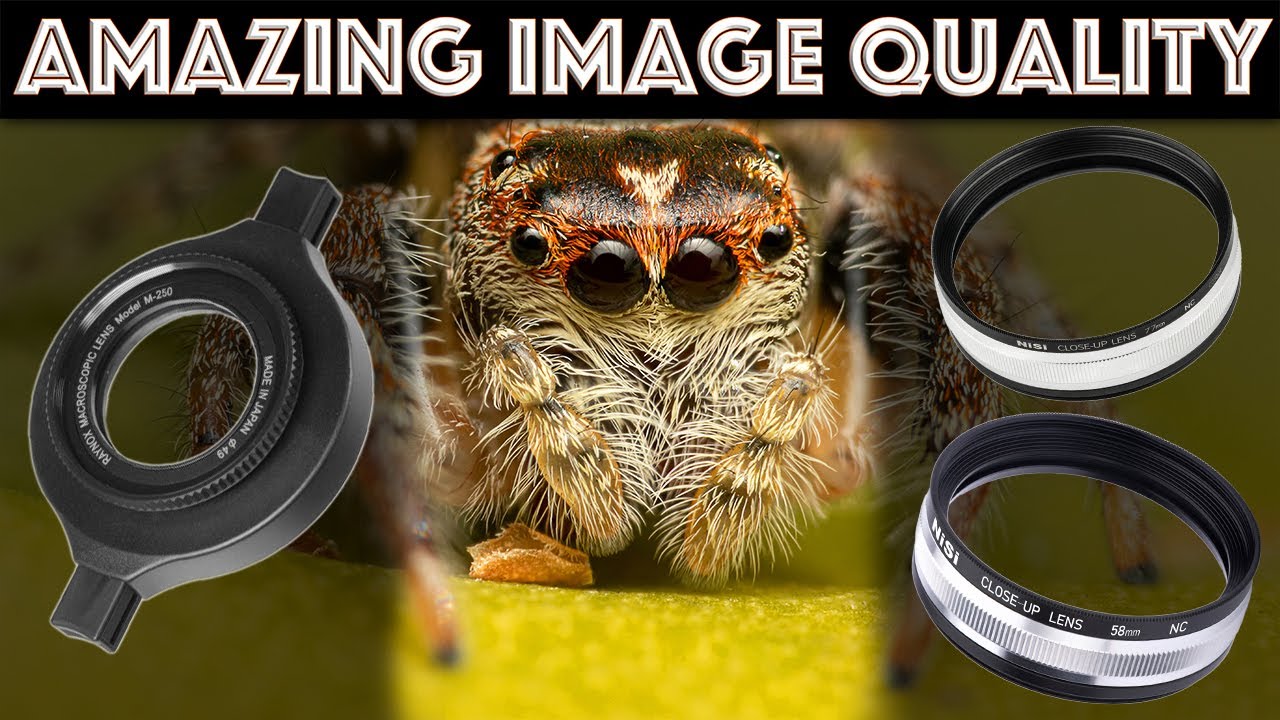 3 BUDGET EXTREME MACRO Setups: Raynox DCR-250+NiSi 58mm, NiSi 58mm ...