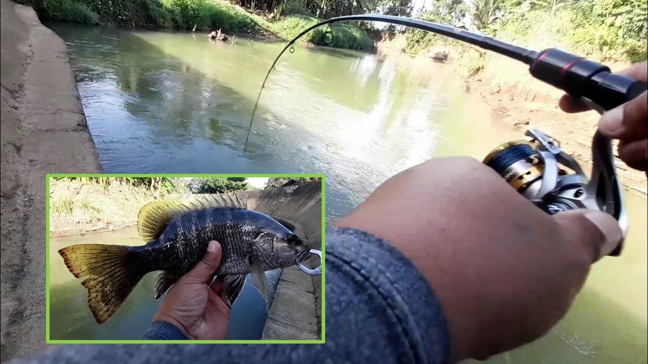 Mamingwit ng Isdang PARGO sa Dalawang Ilog! | With Salug Valley Anglers ...