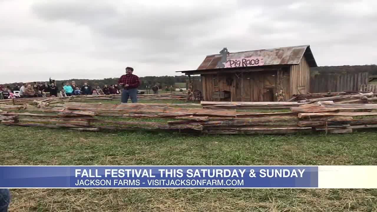 Midday Interview: Jackson Farm Fall Festival - YouTube