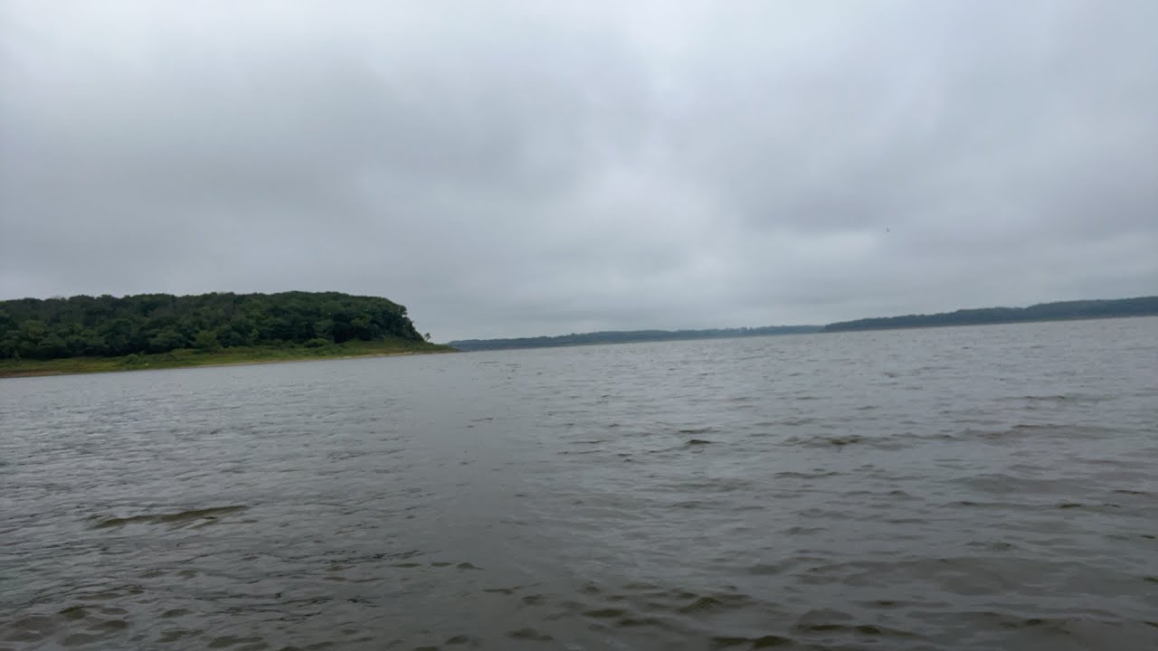 Live Searching For Harry Milligan - YouTube