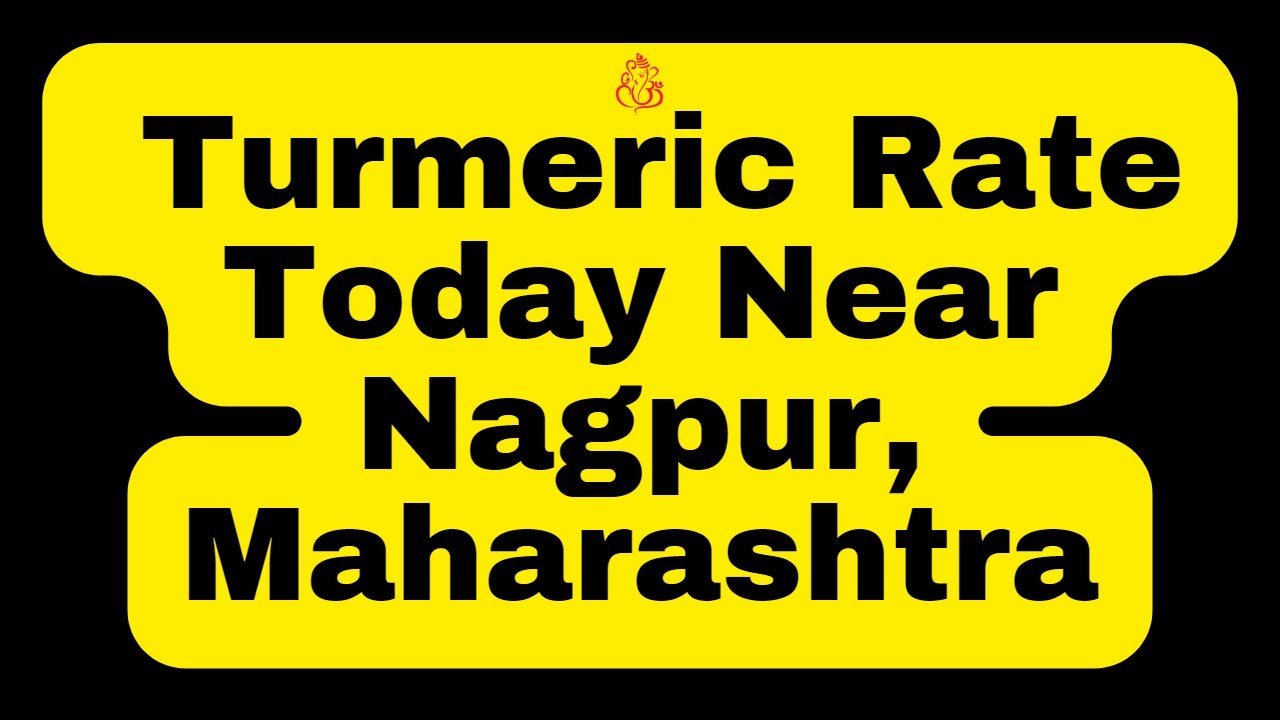 Turmeric Rate Today Near Nagpur, Maharashtra. 26/12/2022 #turmericrate ...
