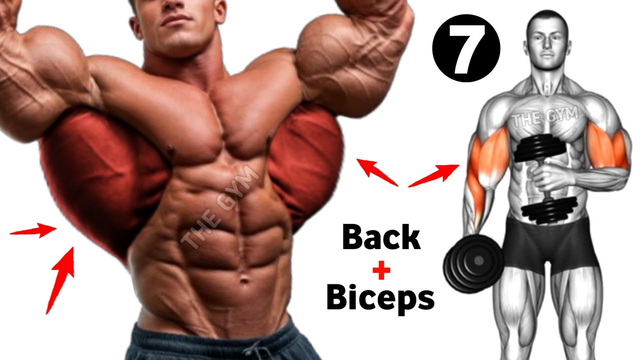 7 Best Back and Biceps Exercises for Size and Definition - YouTube