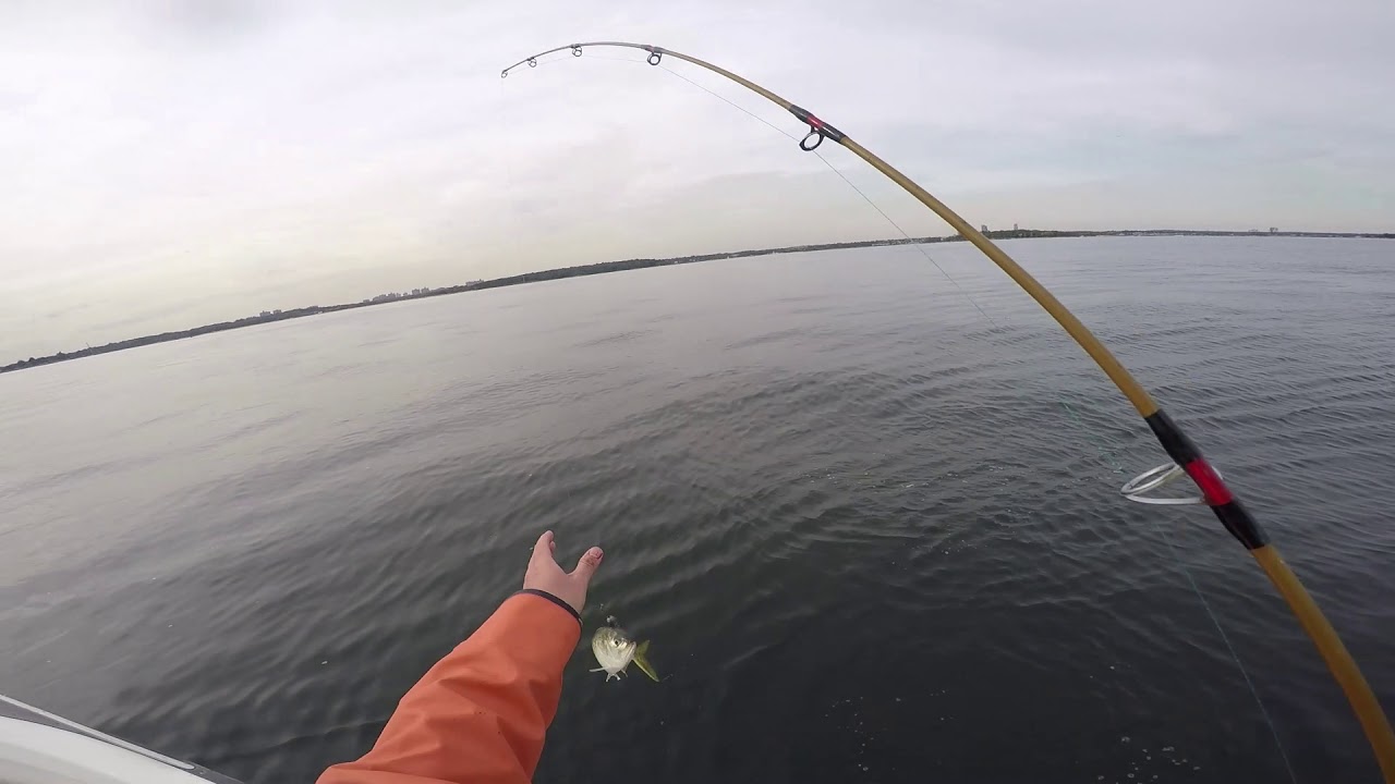 Snagging Bunker Fishing at Claude Herrington blog