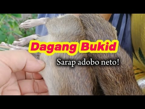 Dagang bukid.😊 - YouTube