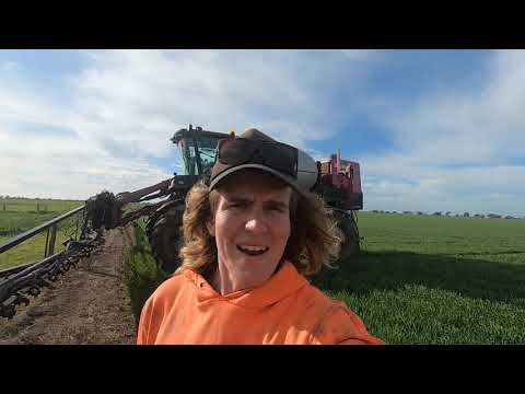Weeds Be Gone! Miller Nitro 4275 Spraying Wheat | Australian Farm - YouTube