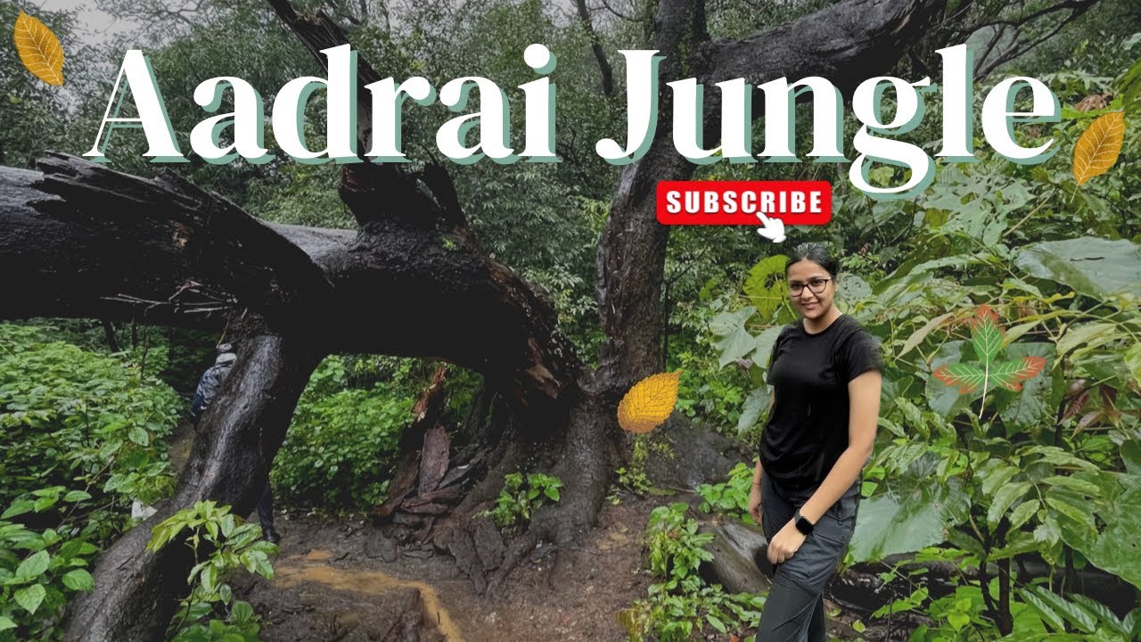 Aadrai JungleTrek/ Kalu waterfall/ Malsej Ghat /Aug 2023 / Treks near ...