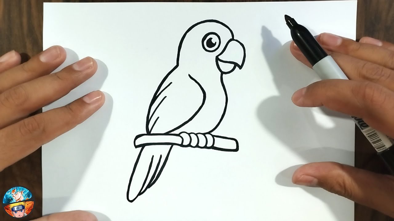 COMO DIBUJAR UN LORO (FÁCIL paso a paso) Dibujando un LORO - How to ...