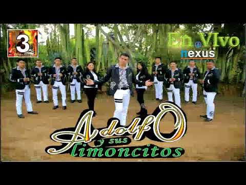 3 Alfonso Y Sus Limoncitos En Vivo - No Tengo Los derechos de la música