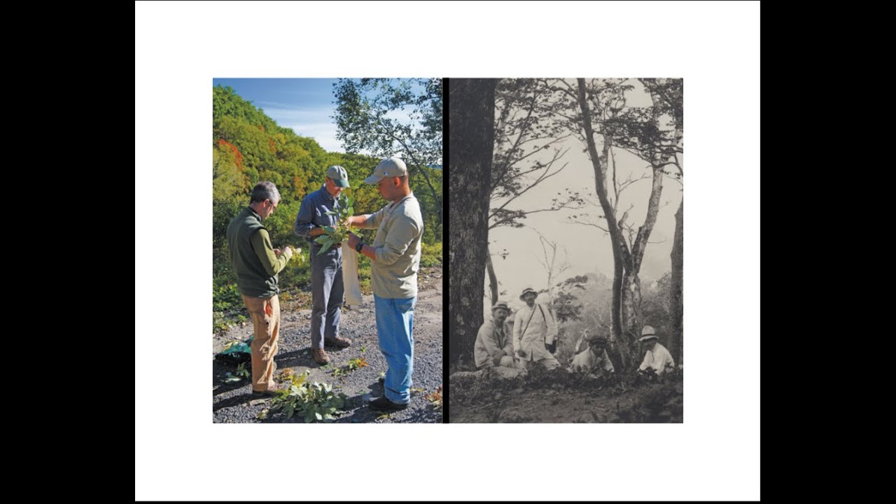 Plant Exploration: Then and Now - YouTube