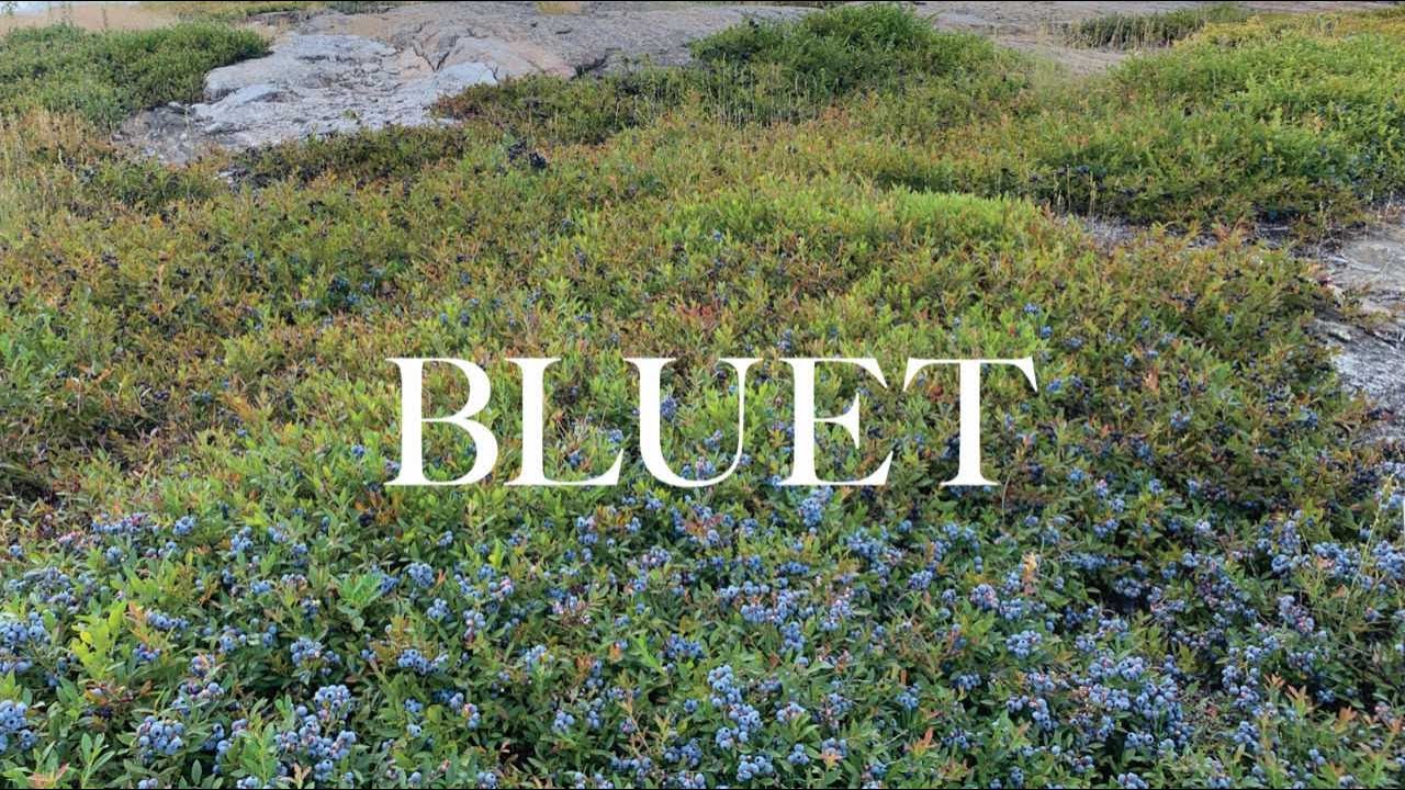 BLUET Maine Wild Blueberry Sparkling Wine - YouTube