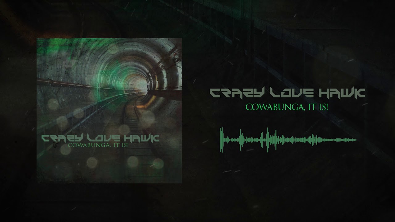 Crazy Love Hawk - Cowabunga, It Is! - YouTube