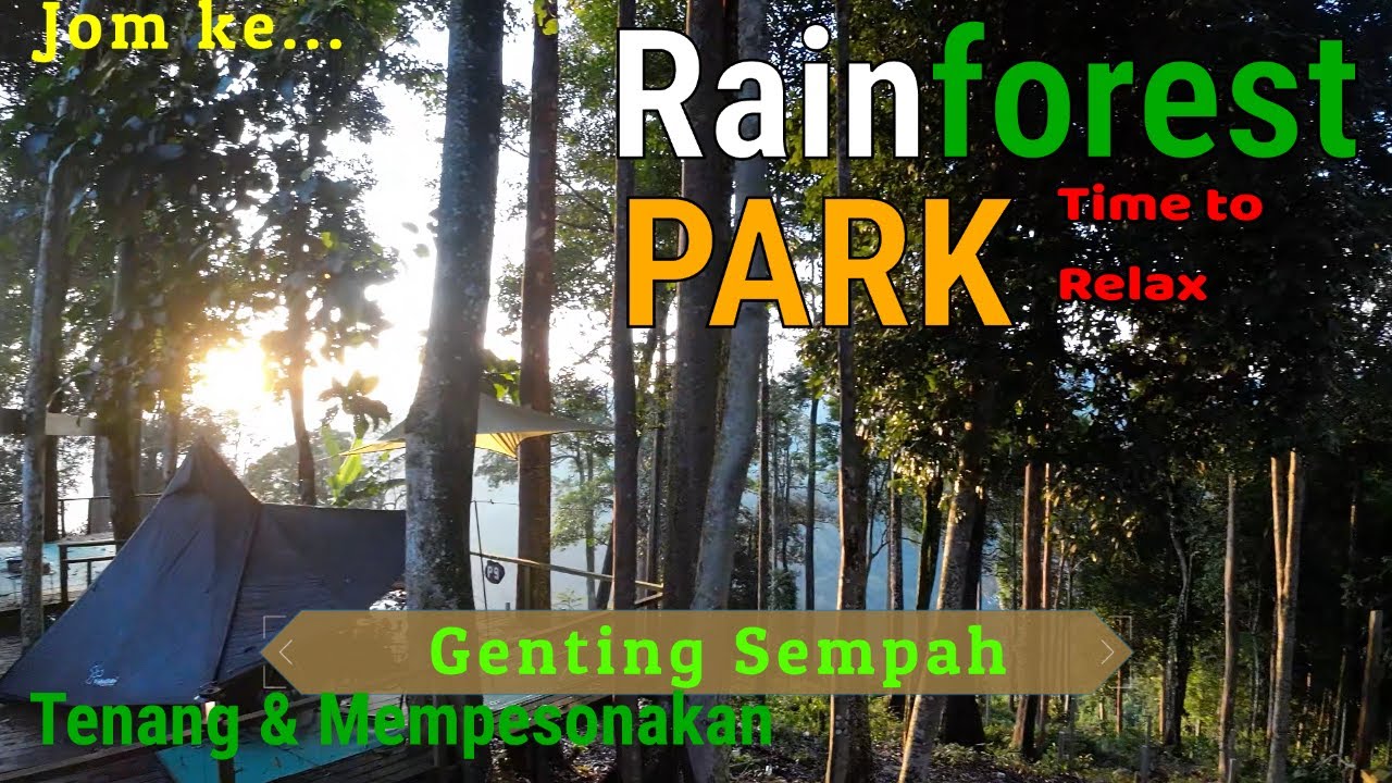 Menikmati MOMEN, rasai cuaca sejuk,ketenangan di RAINFOREST Park ...