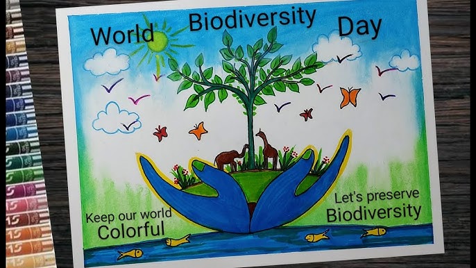 Biodiversity Poster Ideas