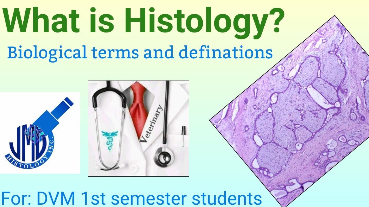 What's Histology? Defination of Veterinary histology #DVM - YouTube