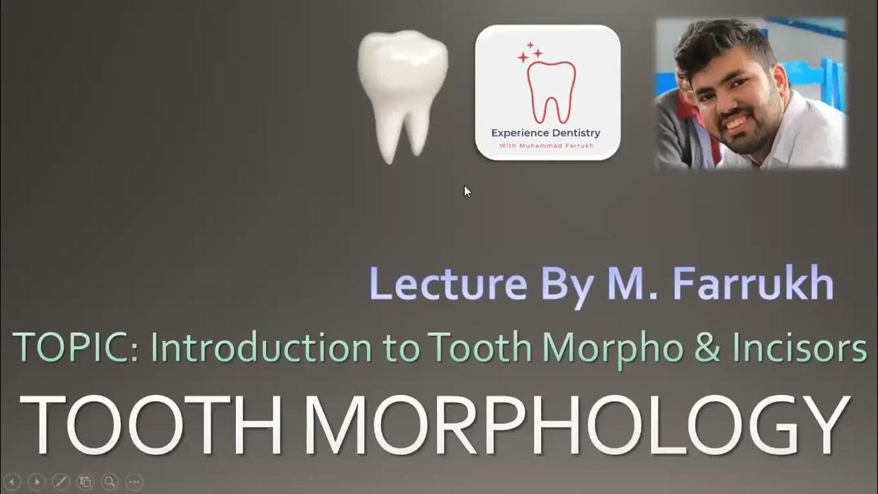 Lecture #1 | Tooth Morphology Introduction PART 1 | #ToothMorphology # ...