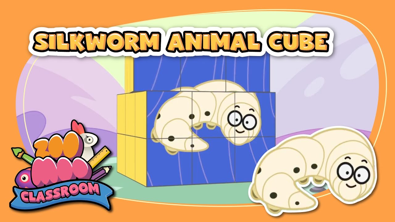 Can you guess what it is? | Animal Cube | Puzzle for Kids @ZooMoo - YouTube