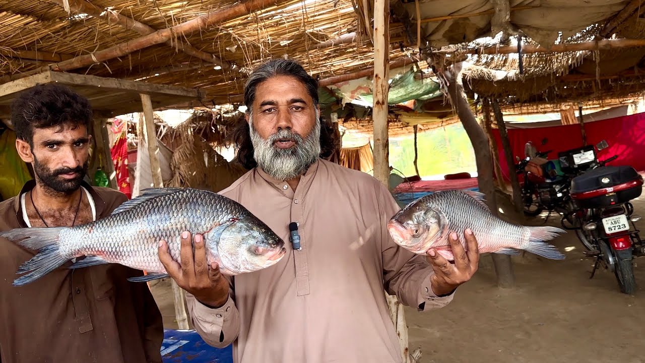 Tandoori Fish Recipe | How To Make Tandoori Fish At Head Panjnad ...